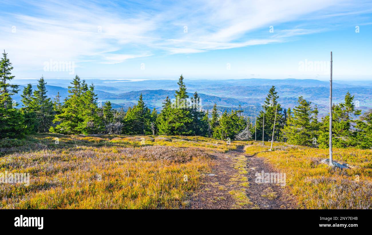 Narrow mountain tourist path marked with wooden poles. Cold and sunny ...
