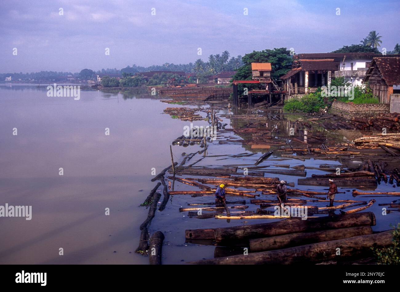 Kallai hi-res stock photography and images - Alamy