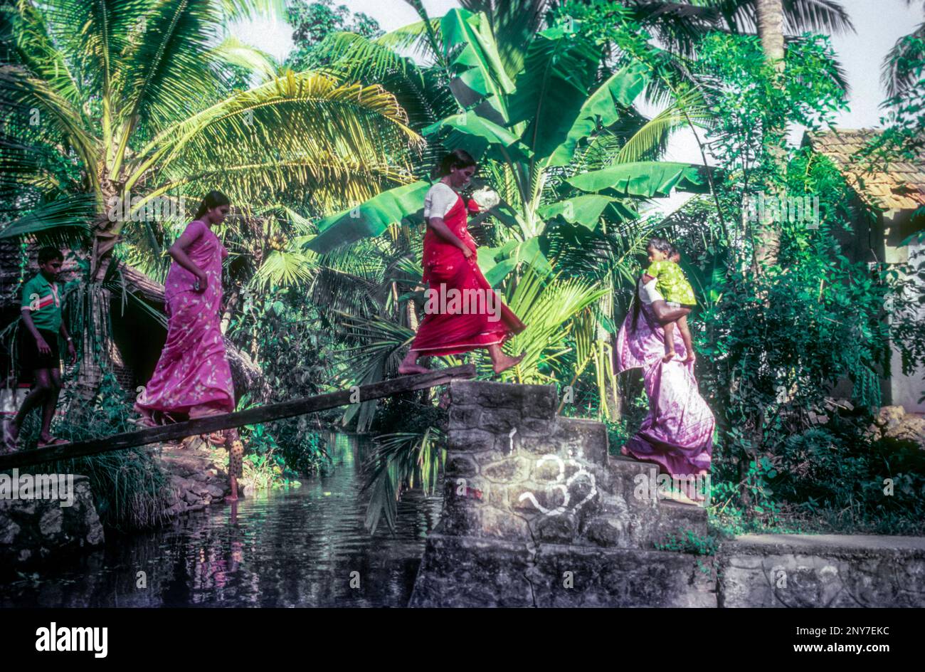 Women crossing Backwaters of Kerala through small wooden plank, South ...
