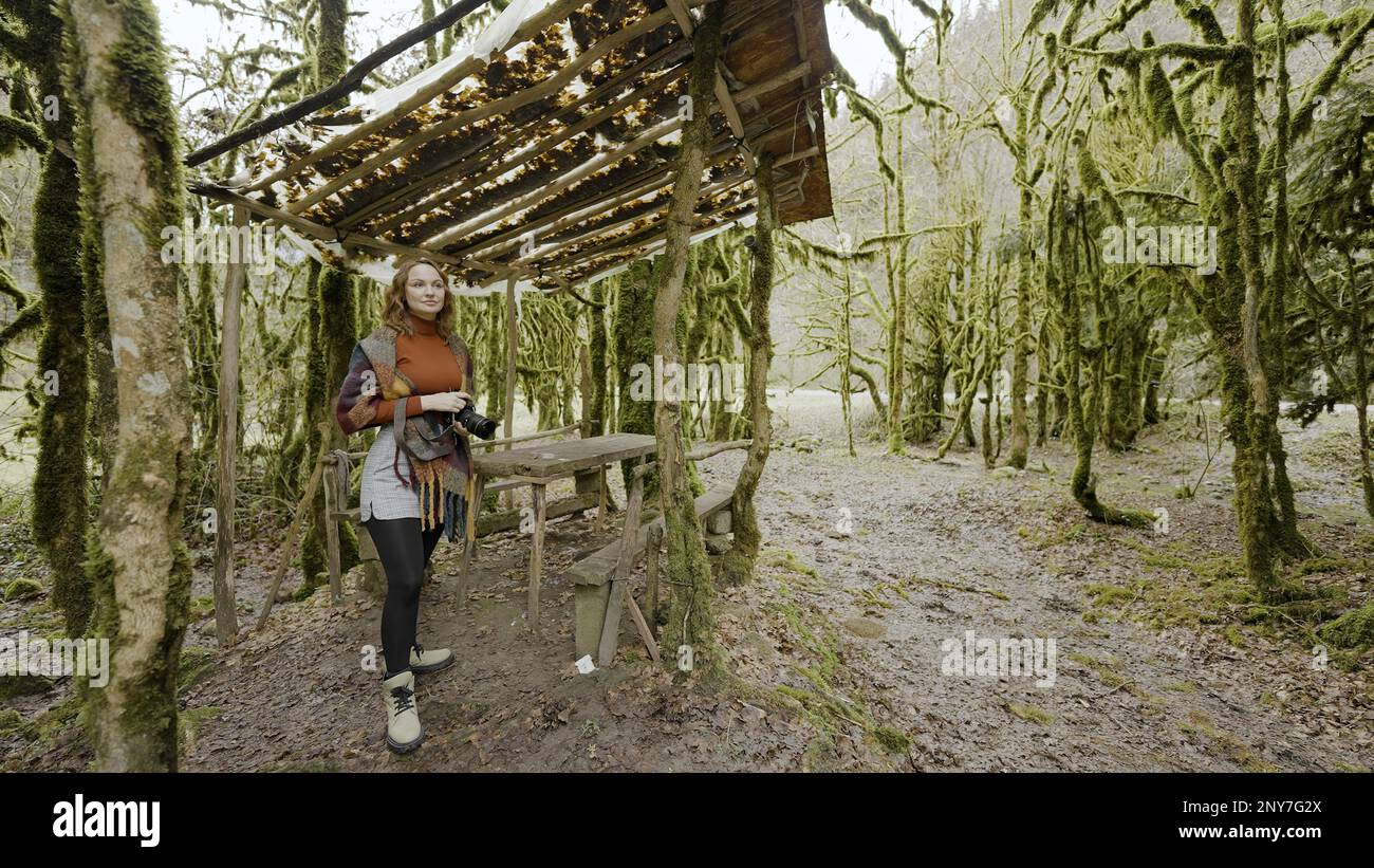 Female photographer capturing photos of trees on a sunny day in the ...