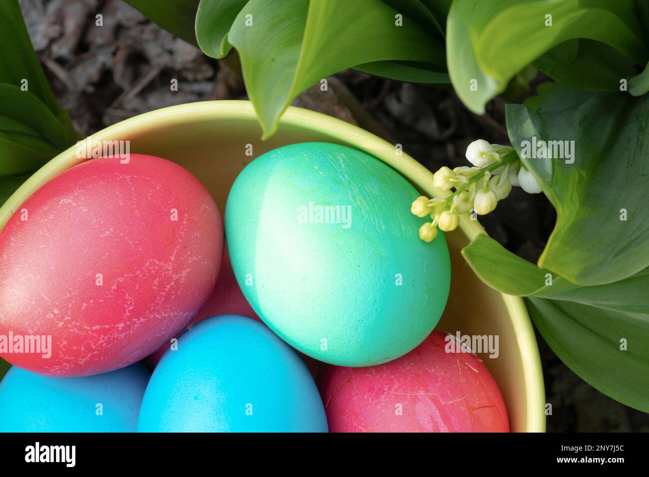 Easter eggs lie in a plate on the grass in lilies of the valley in the ...