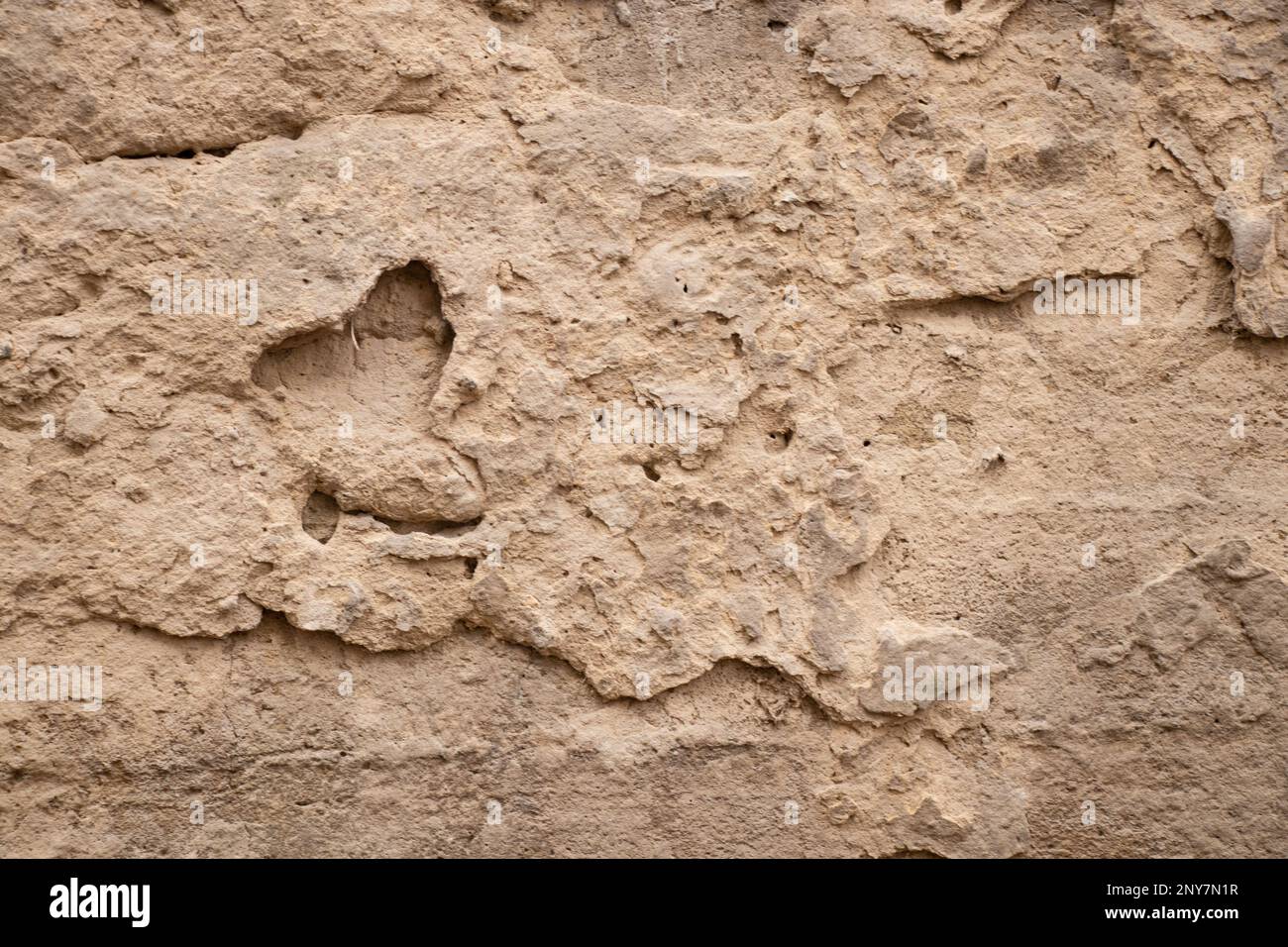 light wall of a house close-up as a background Stock Photo - Alamy