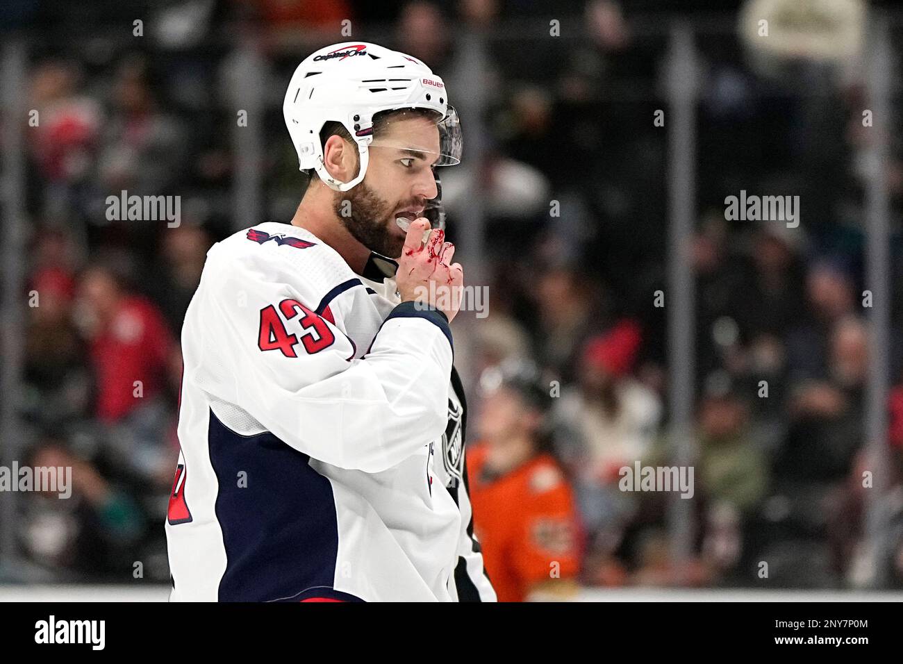 Washington Capitals right wing Tom Wilson skates off the ice after ...