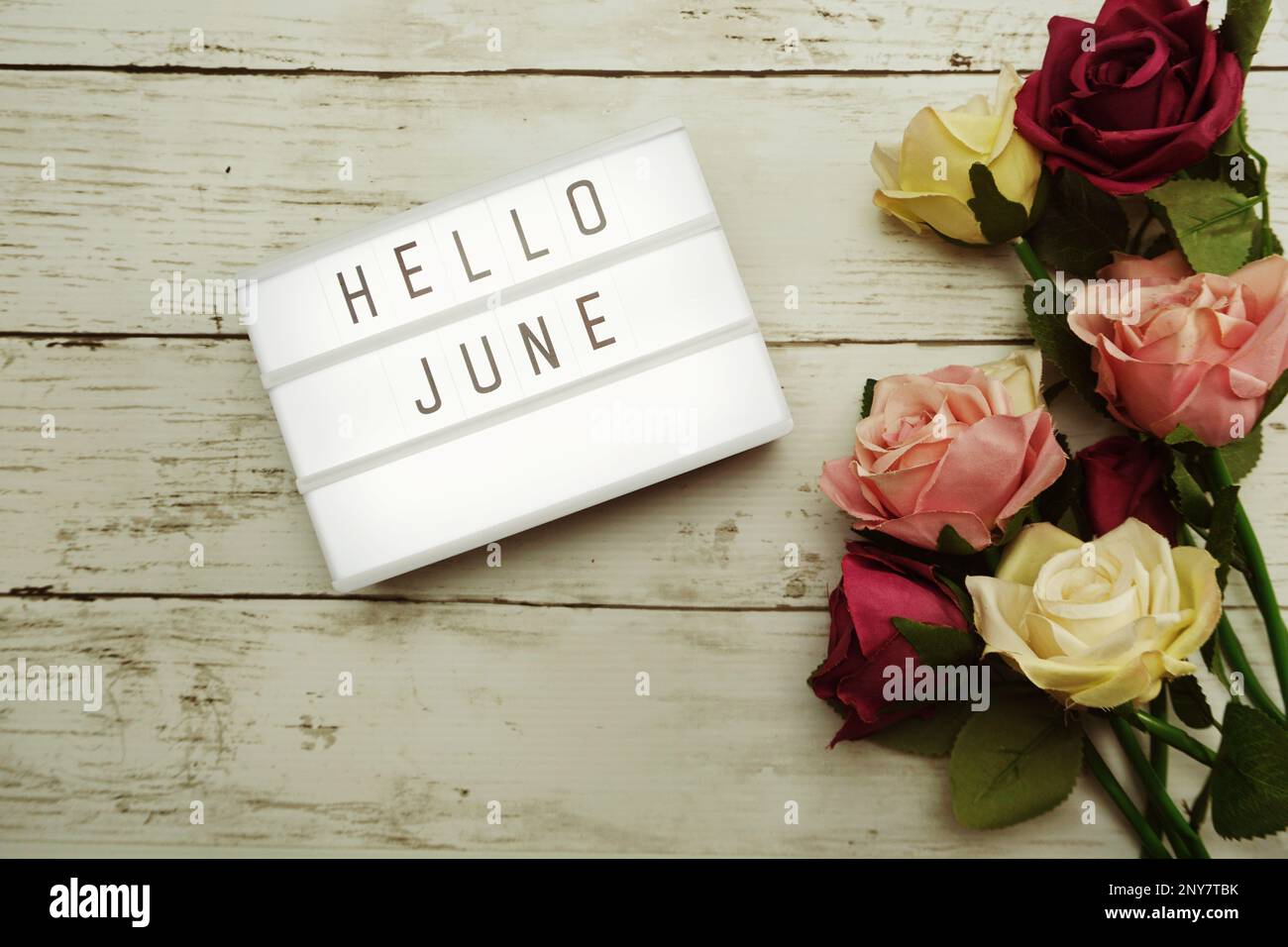 Hello June Word on Light box with roses flower bouquet on wooden ...