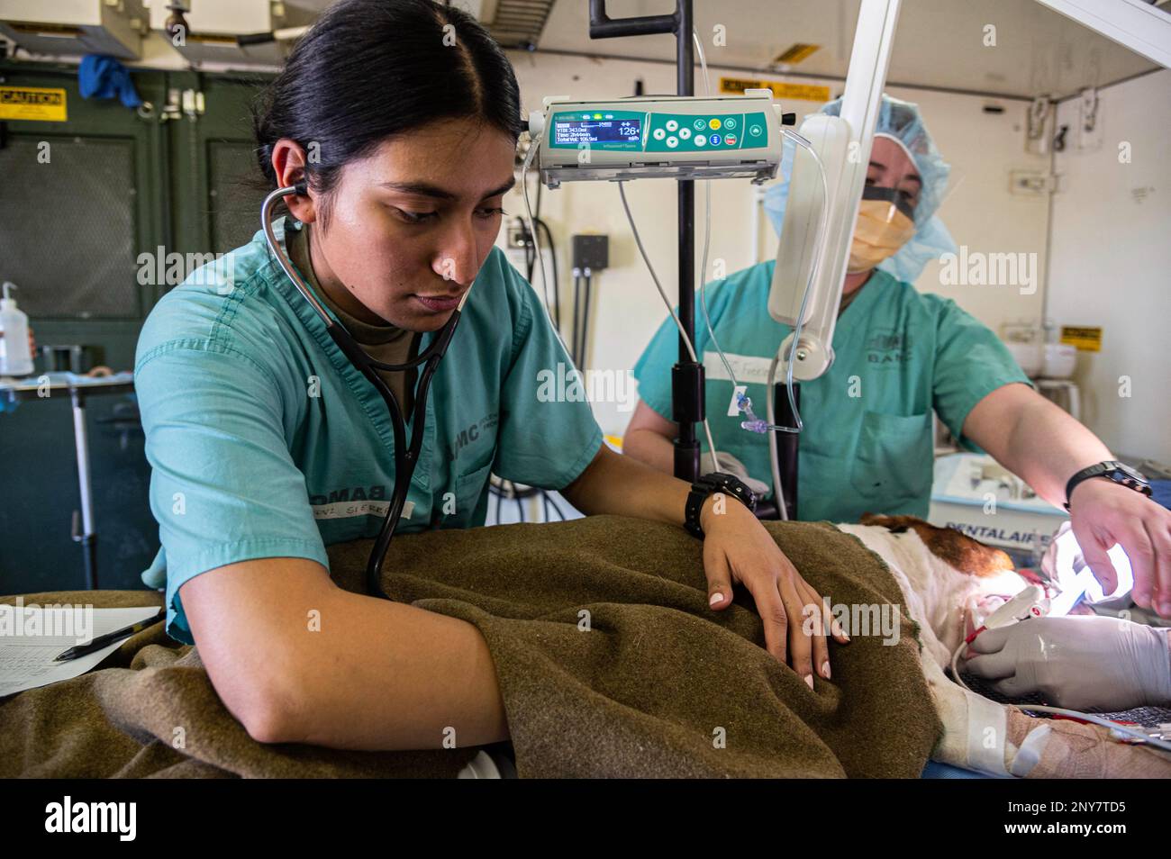 Private 2nd Class Chrystallina Sierra, assigned to the U.S. Army ...