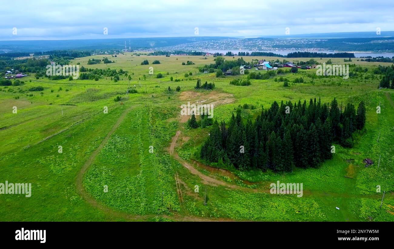 Aerial view of the green grass meadow with pine trees. Clip. Flying ...