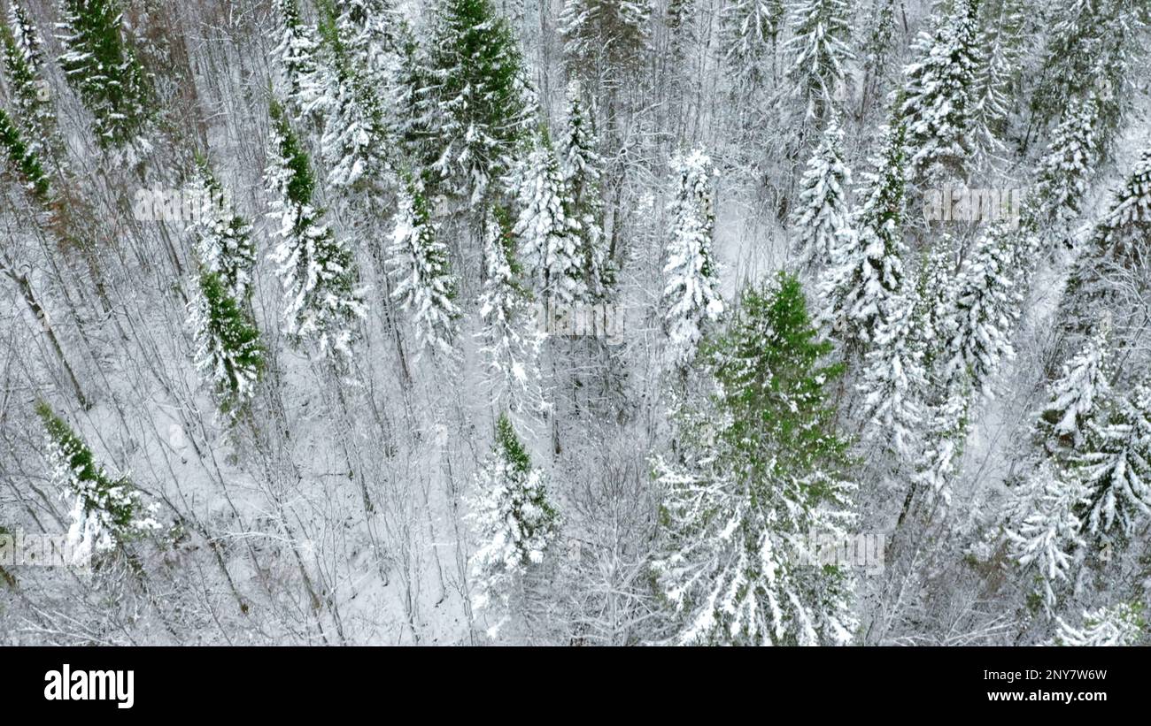 Video mountains hill ski slope hi-res stock photography and images - Alamy