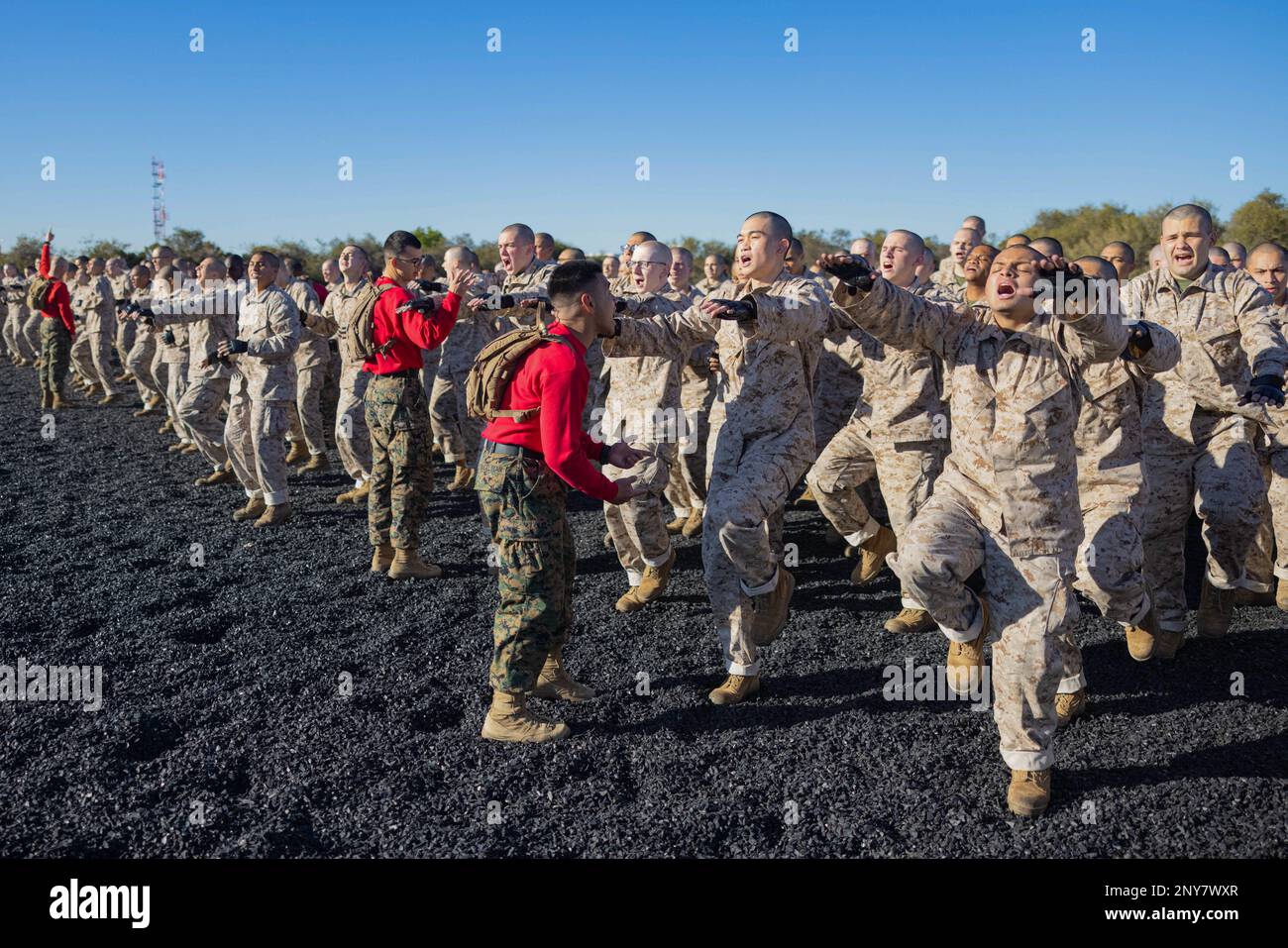 U.S. Marine Corps recruits with Alpha Company, 1st Recruit Training ...