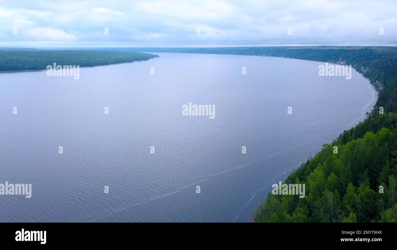 Aerial view of the green pine tree forest. Clip. Flying above endless ...