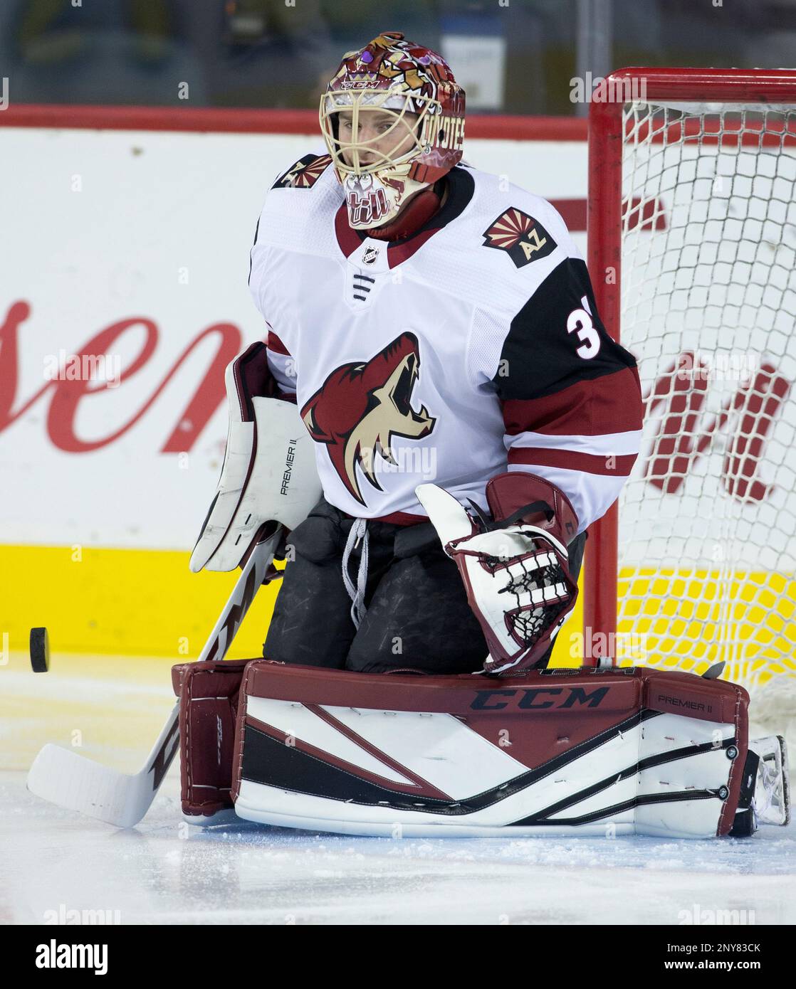 NHL profile photo on Arizona Coyotes goalie Adin Hill at a game against ...