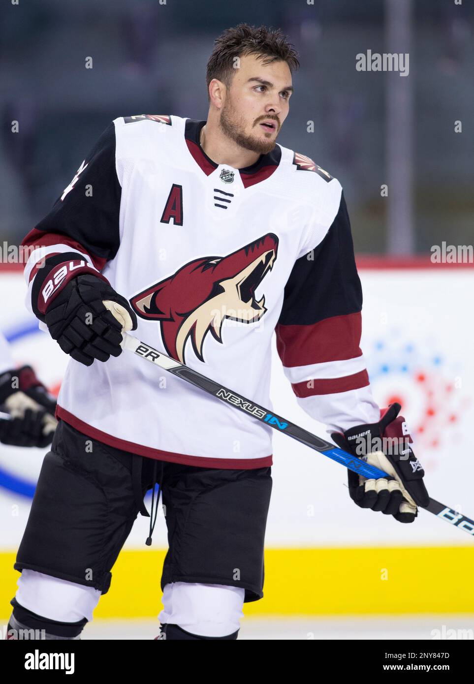 NHL profile photo on Arizona Coyotes player Zac Rinaldo at a game ...