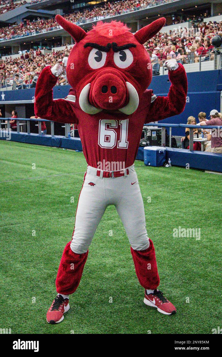 ARLINGTON, TX - SEPTEMBER 23: The Arkansas Razorbacks mascot Big Red ...