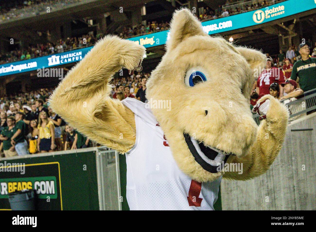 WACO, TX - SEPTEMBER 23: The Oklahoma Sooners mascot Boomer performs ...
