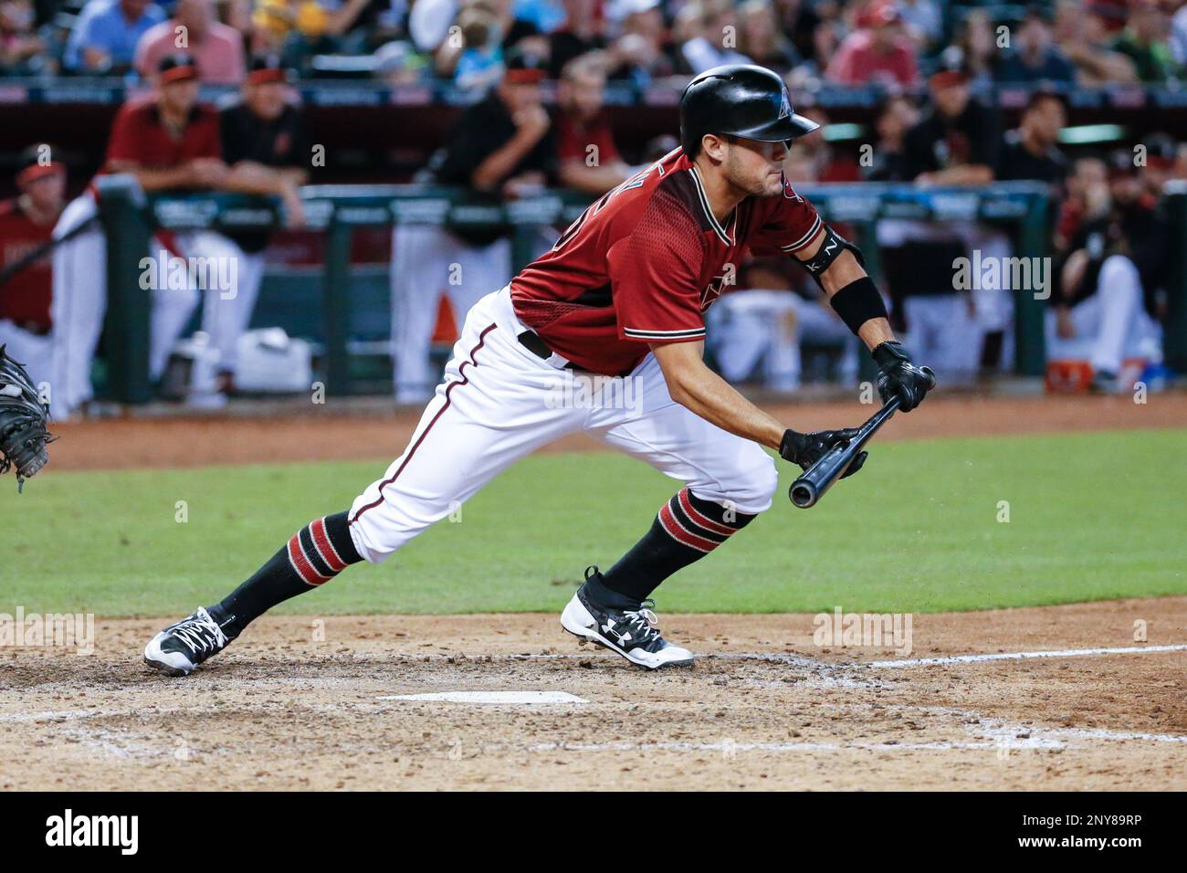 PHOENIX, AZ - SEPTEMBER 24: Arizona Diamondbacks left fielder Kris ...