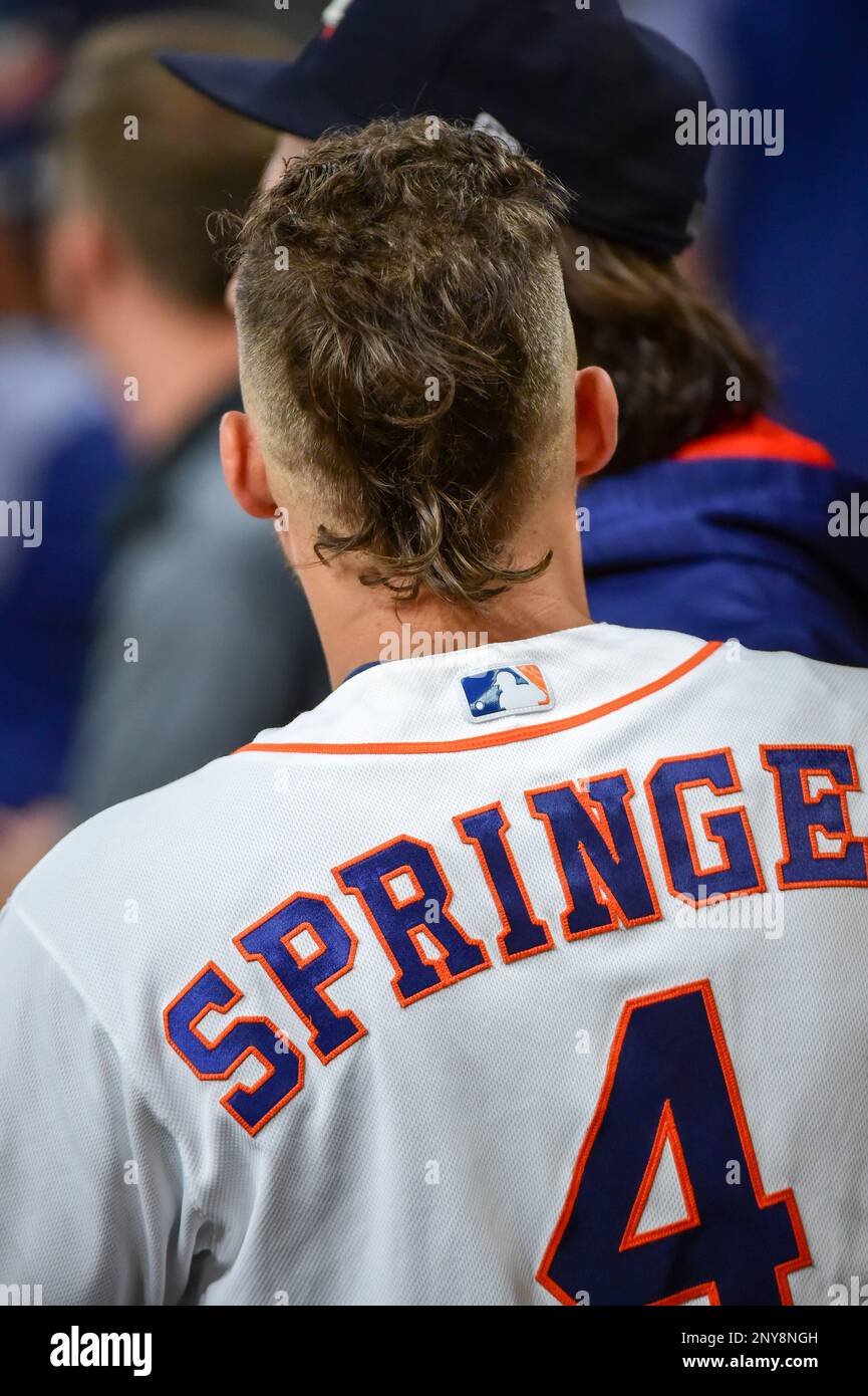 George Springer White