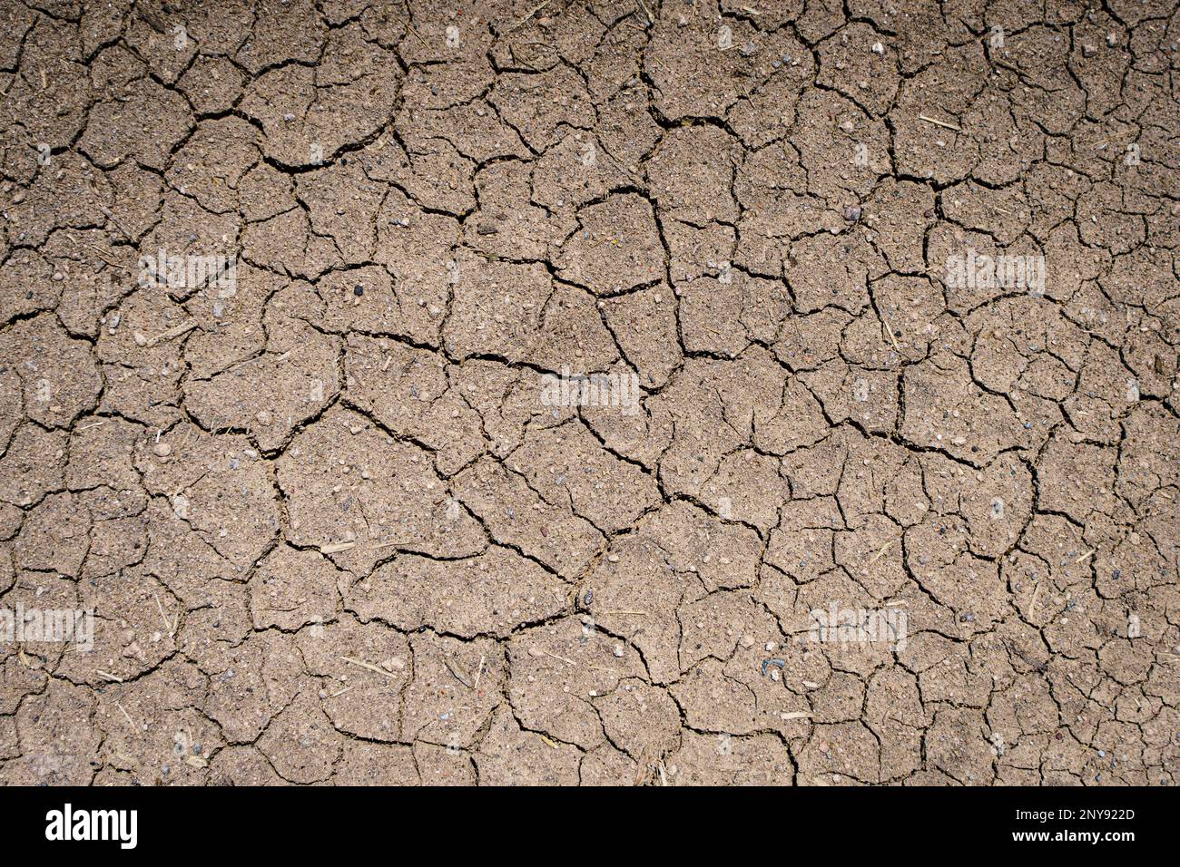 Dry soil background. Texture of dry land in drought and hot weather ...