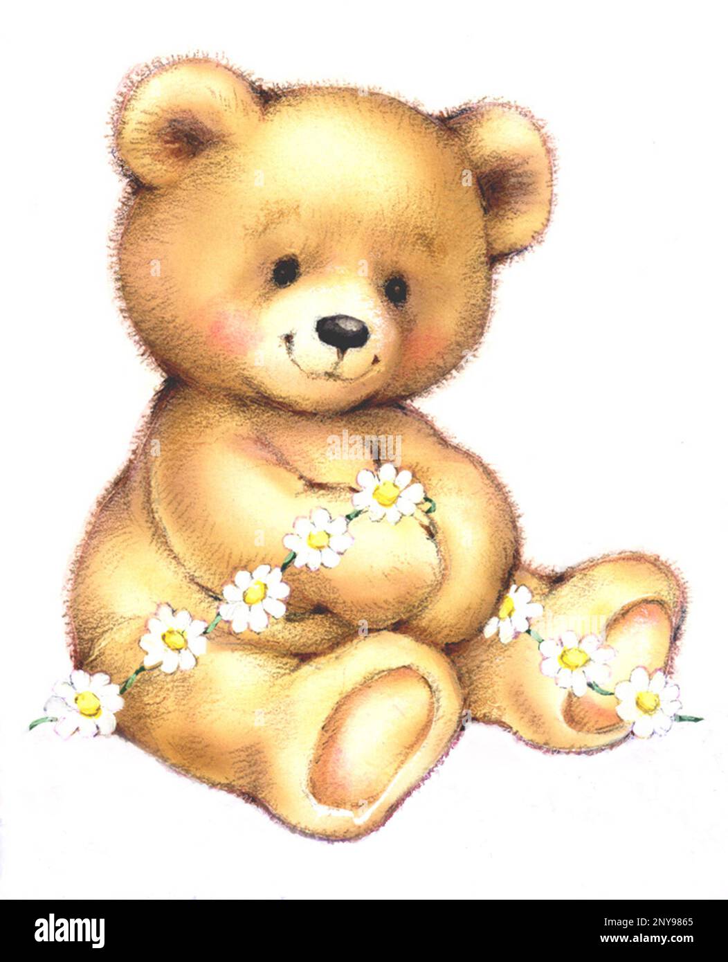 Teddys hi-res stock photography and images - Alamy