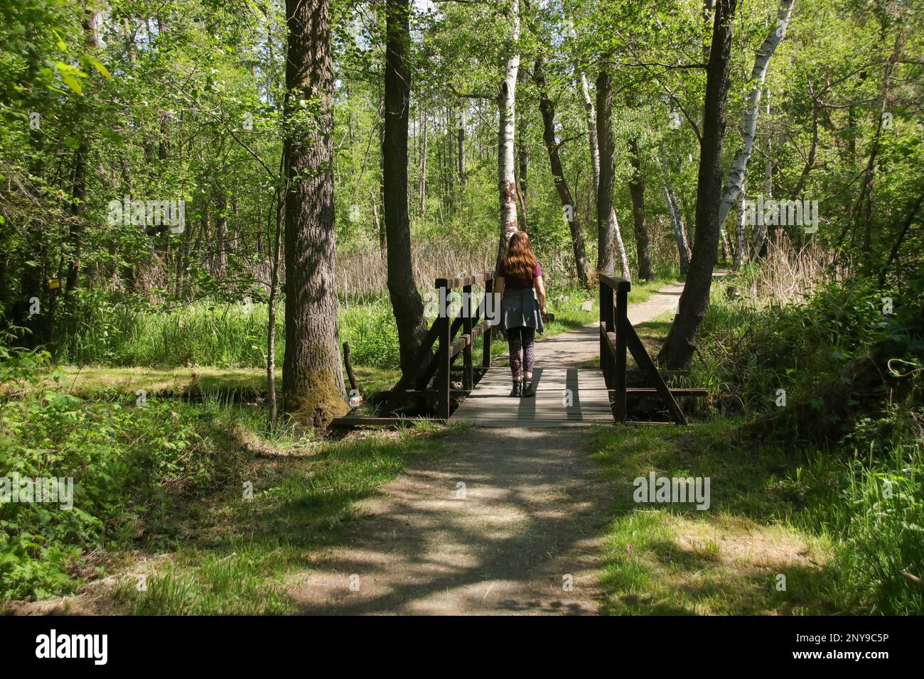 The spreewald in spring hi-res stock photography and images - Alamy