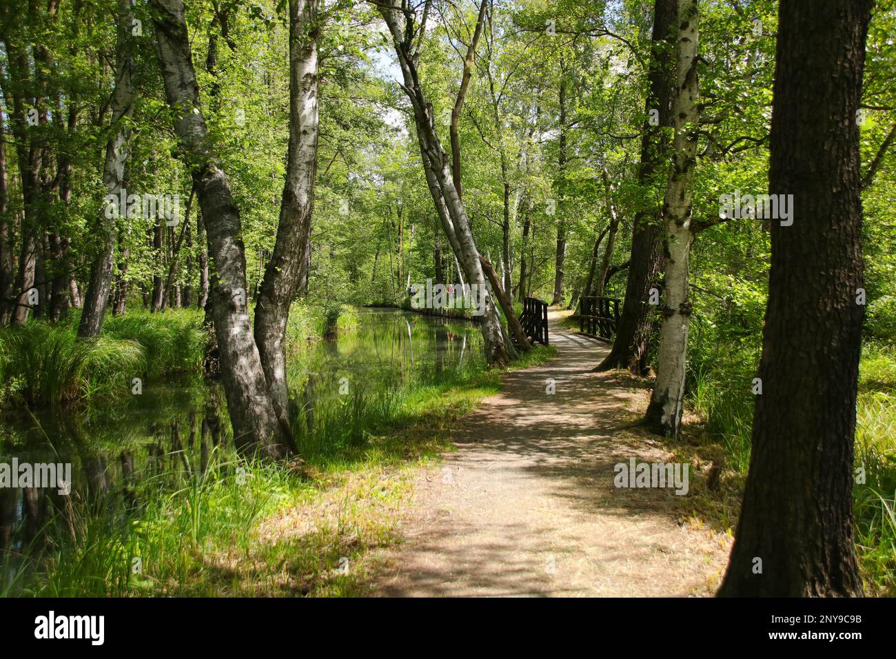 Hiking in biosphere reserve Spree forest (Spreewald), Luebbenau ...