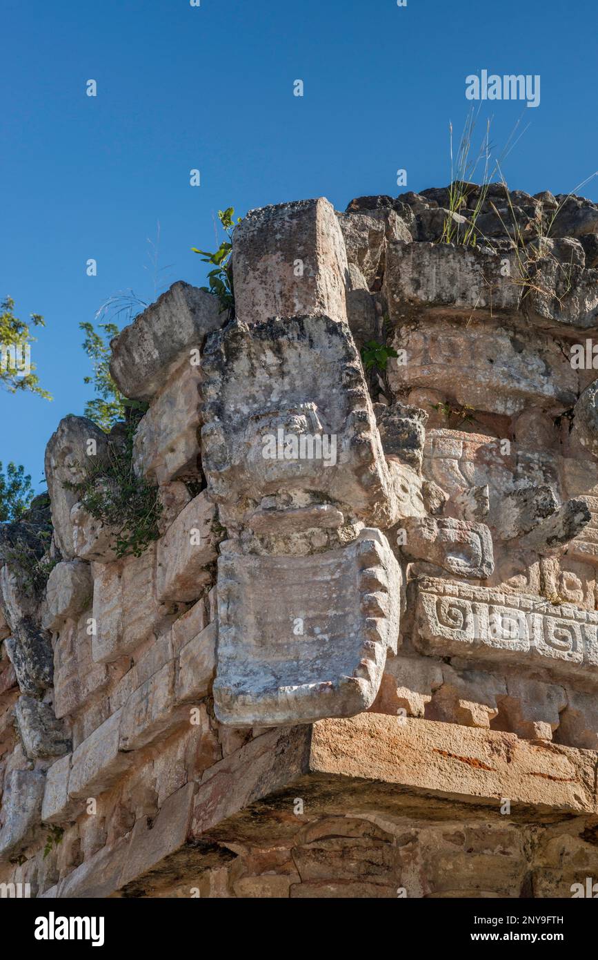 Human head at monster mouth, carvings at El Palacio, Mayan ruins at ...