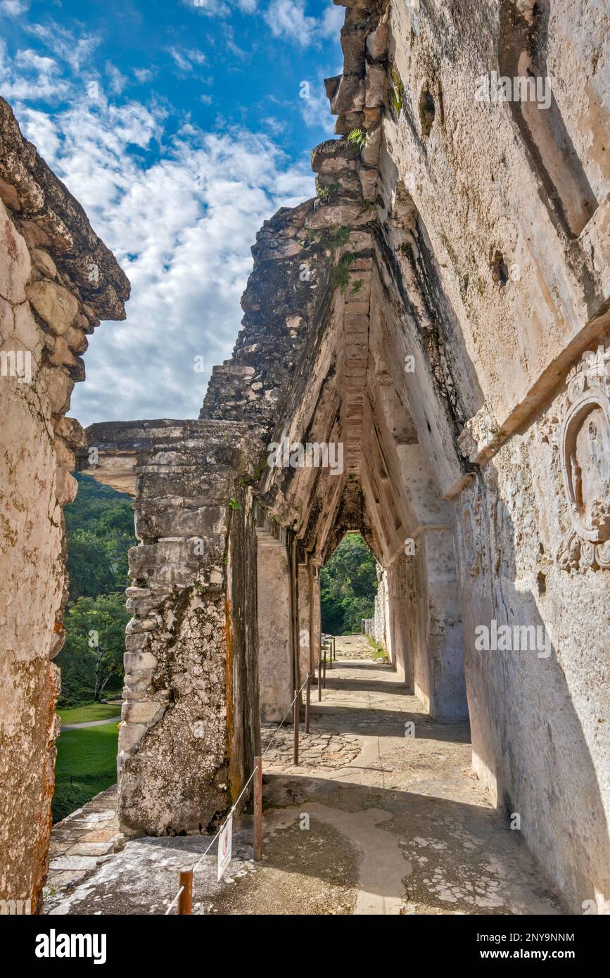 Corbel arch, El Palacio, Maya ruins at Palenque archaeological site ...