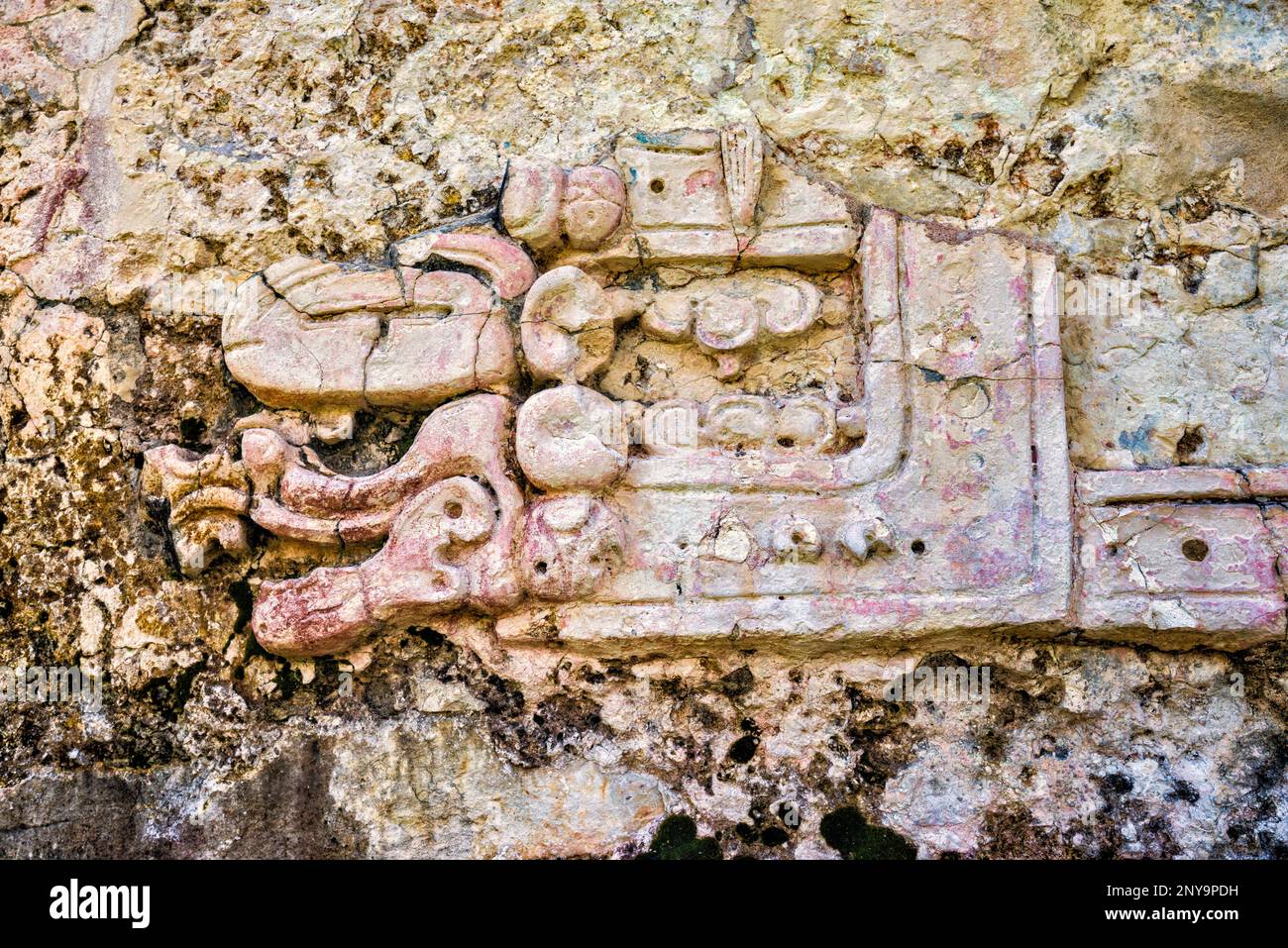 Carving panel at El Palacio, Maya ruins at Palenque archaeological site ...