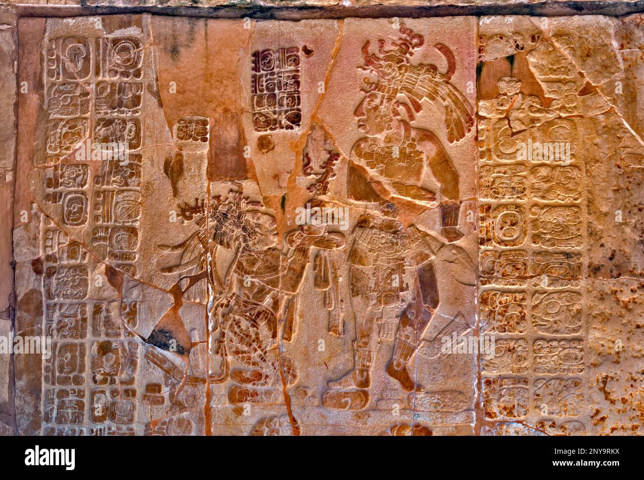 Carving panel at Templo XIV, Grupo de la Cruz, Maya ruins at Palenque ...