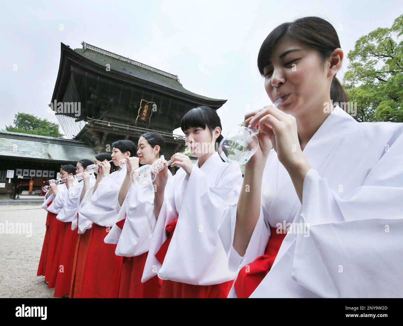 Miko, Japanese Shinto female attendants play the lucky charm glasswork ...