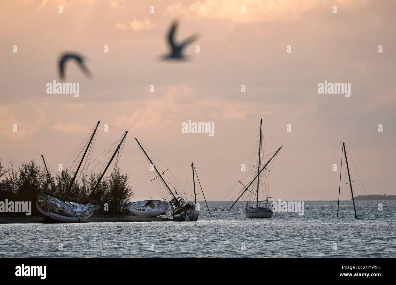 Damaged sail boats are shown in the aftermath of Hurricane Irma, Monday ...