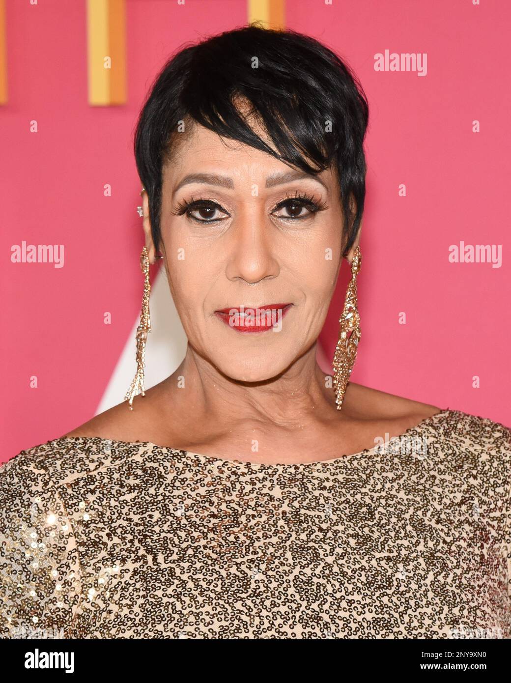 25 February 2023 - Pasadena, California - Gayla Belay-Iyamu. 54th NAACP ...