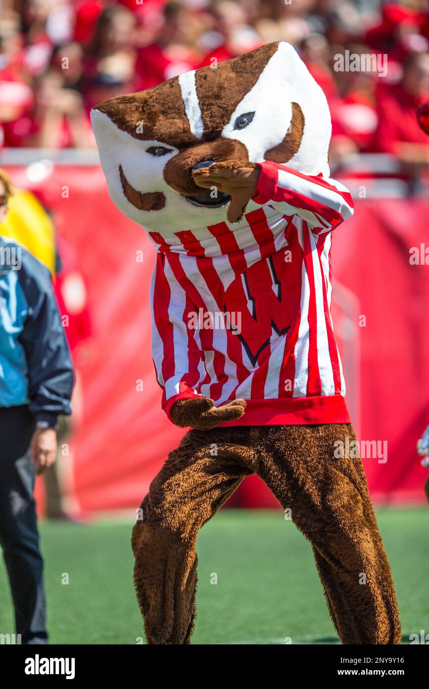 MADISON, WI - SEPTEMBER 09: UW mascot Bucky Badger dances during an ...