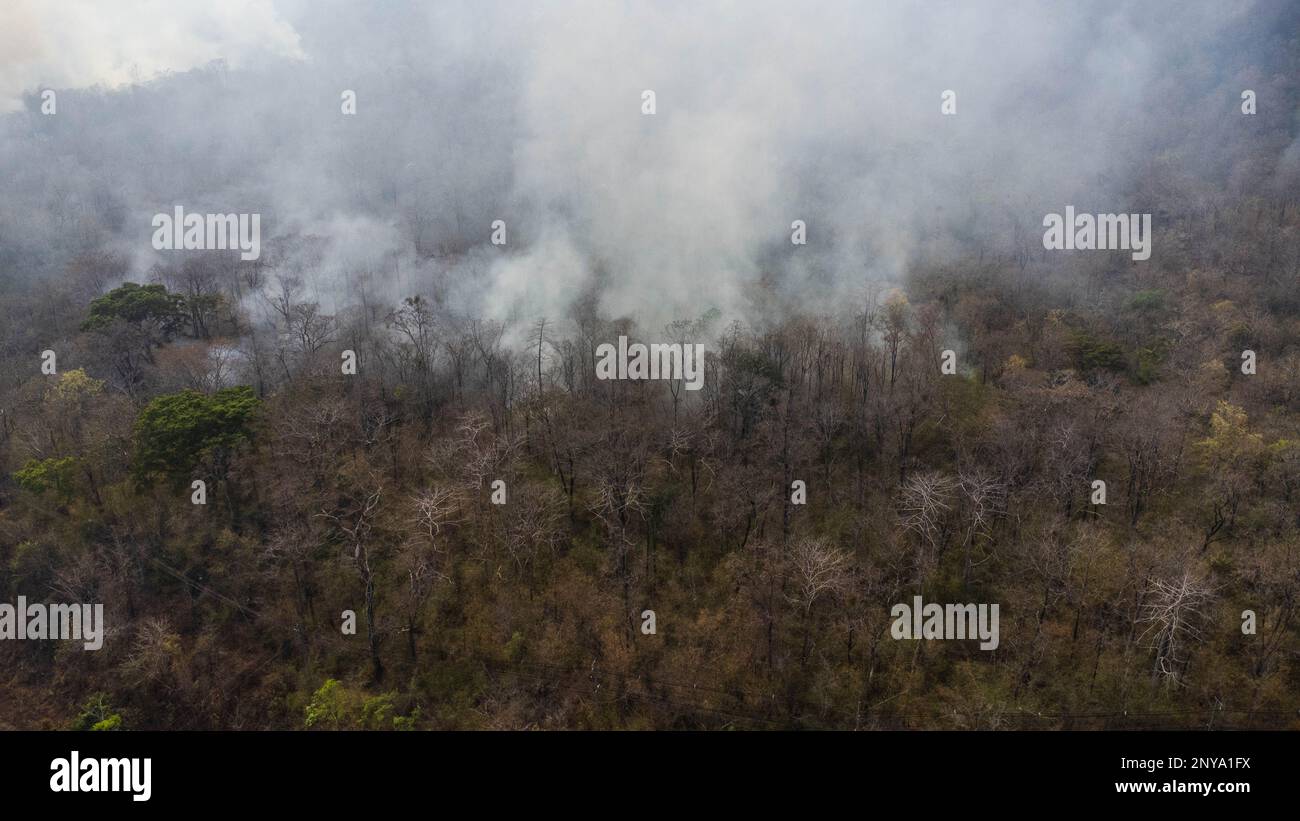 Aerial drone view of a wildfire burning through a forest area, fills the sky with dark smoke in ...