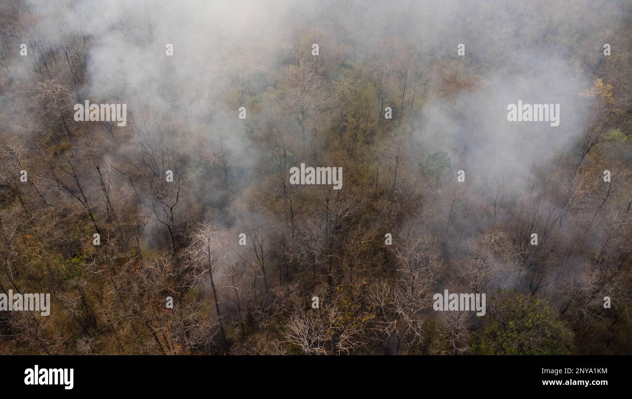 Grass burning in wild bushfire hi-res stock photography and images - Alamy