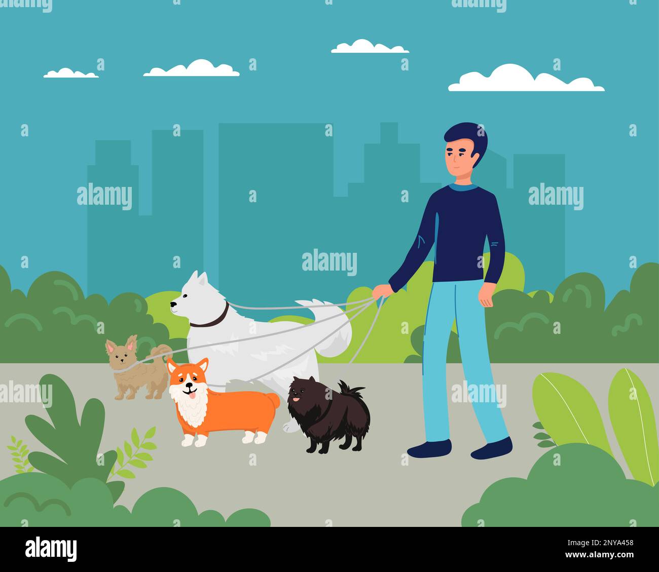 dog walking. Walks a lot of dogs down the street Dog walkers. Vector ...