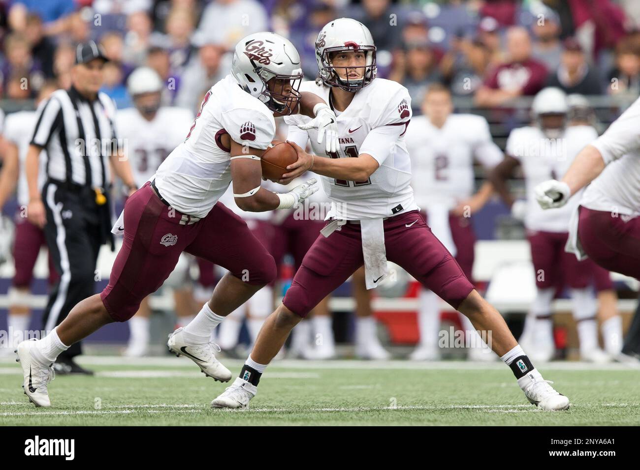 SEATTLE, WA - SEPTEMBER 09: Montana (11) Reese Phillips (QB) hands the ...