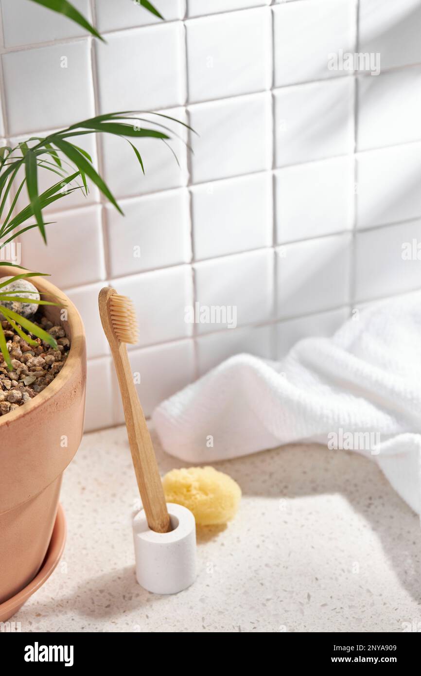 Various objects on a white tile background with warm sunlight shining ...