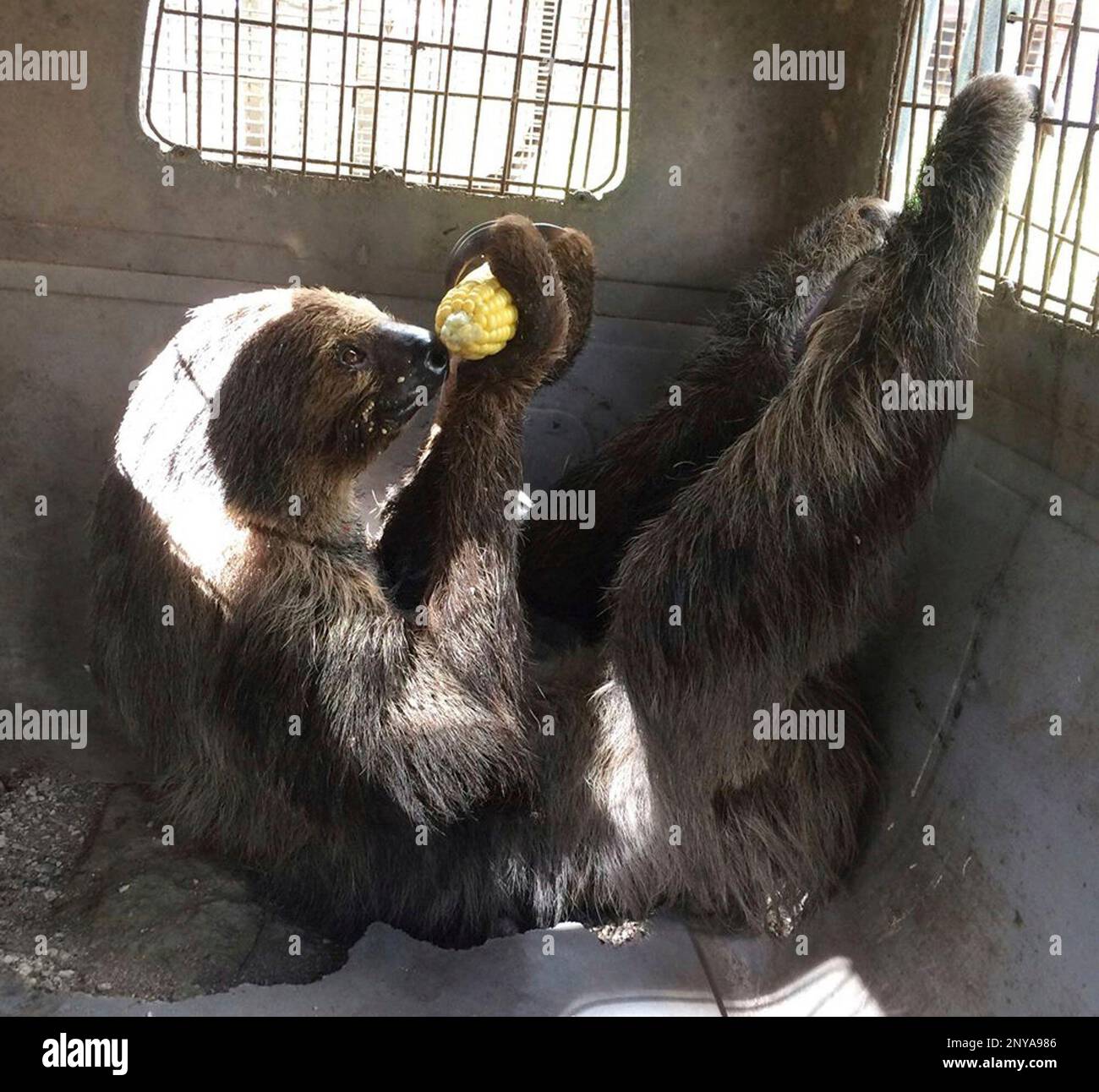 This photo made available by the Monroe County Sheriff's Office, shows ...