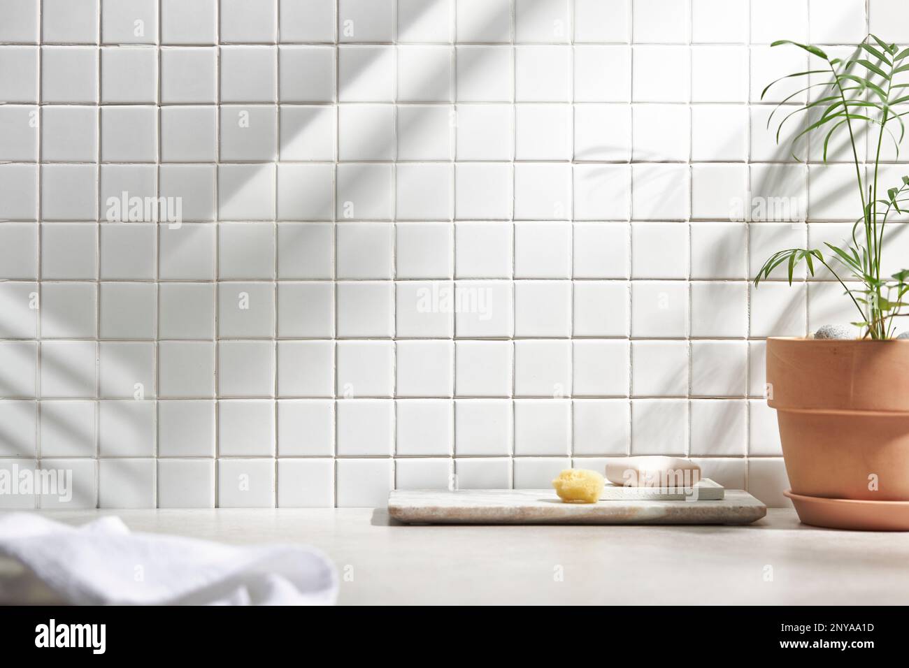Various objects on a white tile background with warm sunlight shining ...