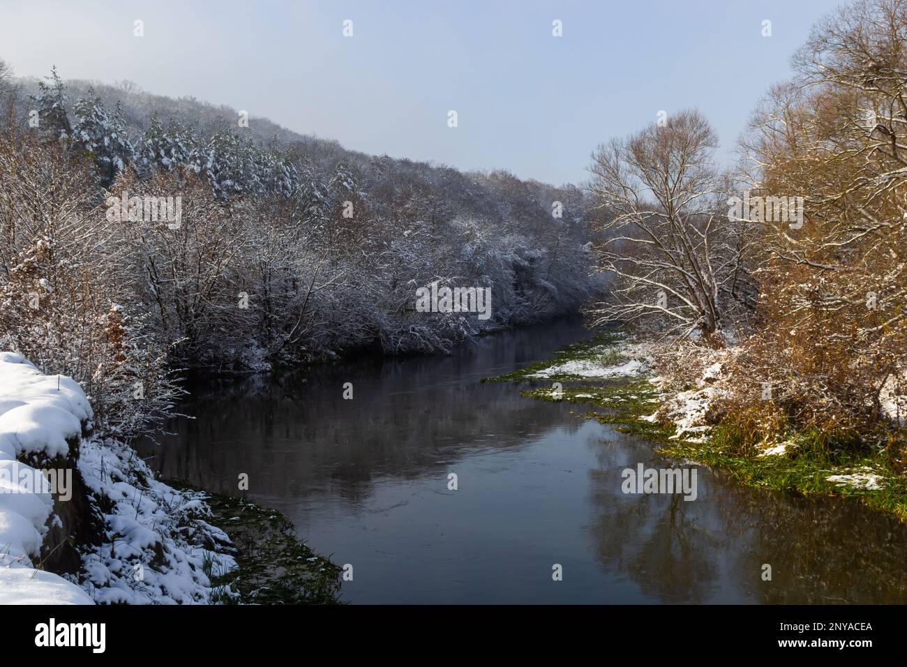 The river flows through the forest. In late fall in the forest the ...