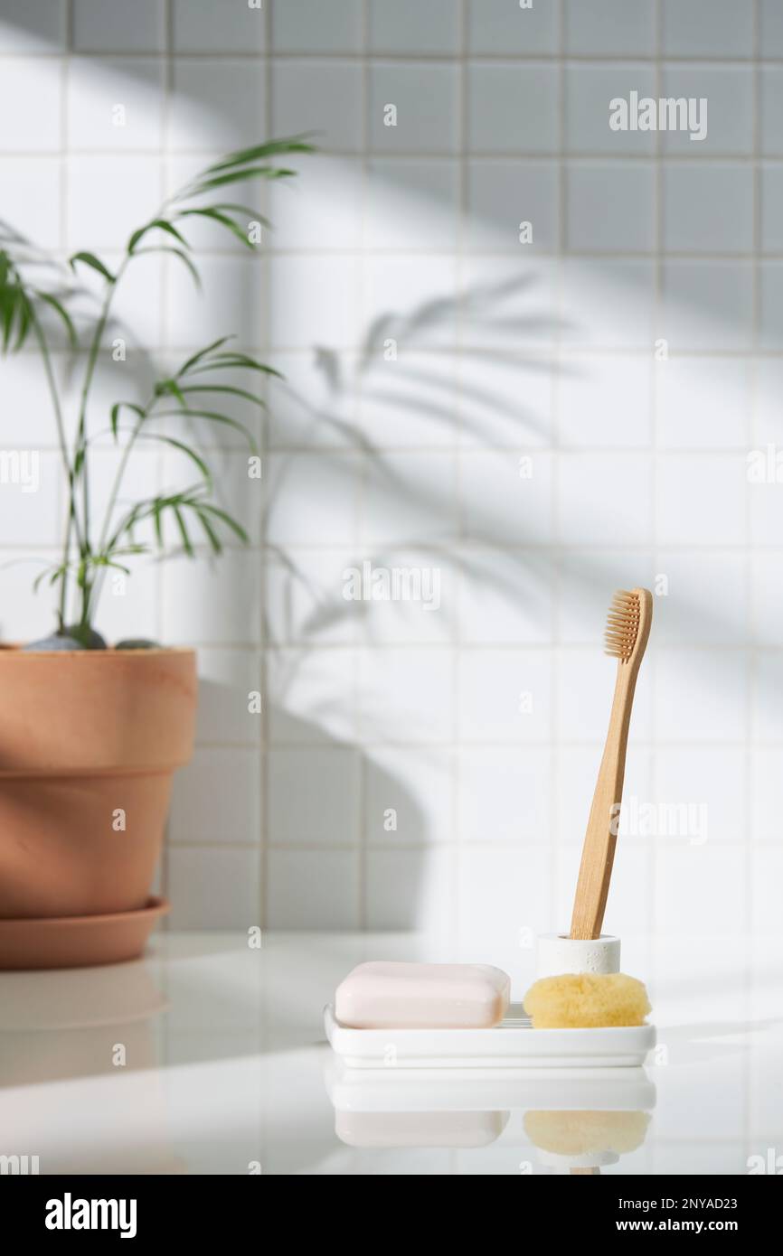 Various objects on a white tile background with warm sunlight shining ...