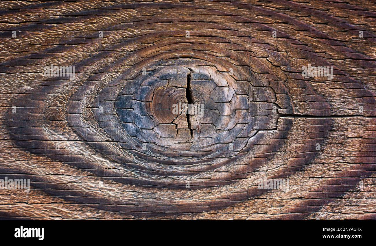Intricate lines and natural patterns of the wood create a mesmerizing ...
