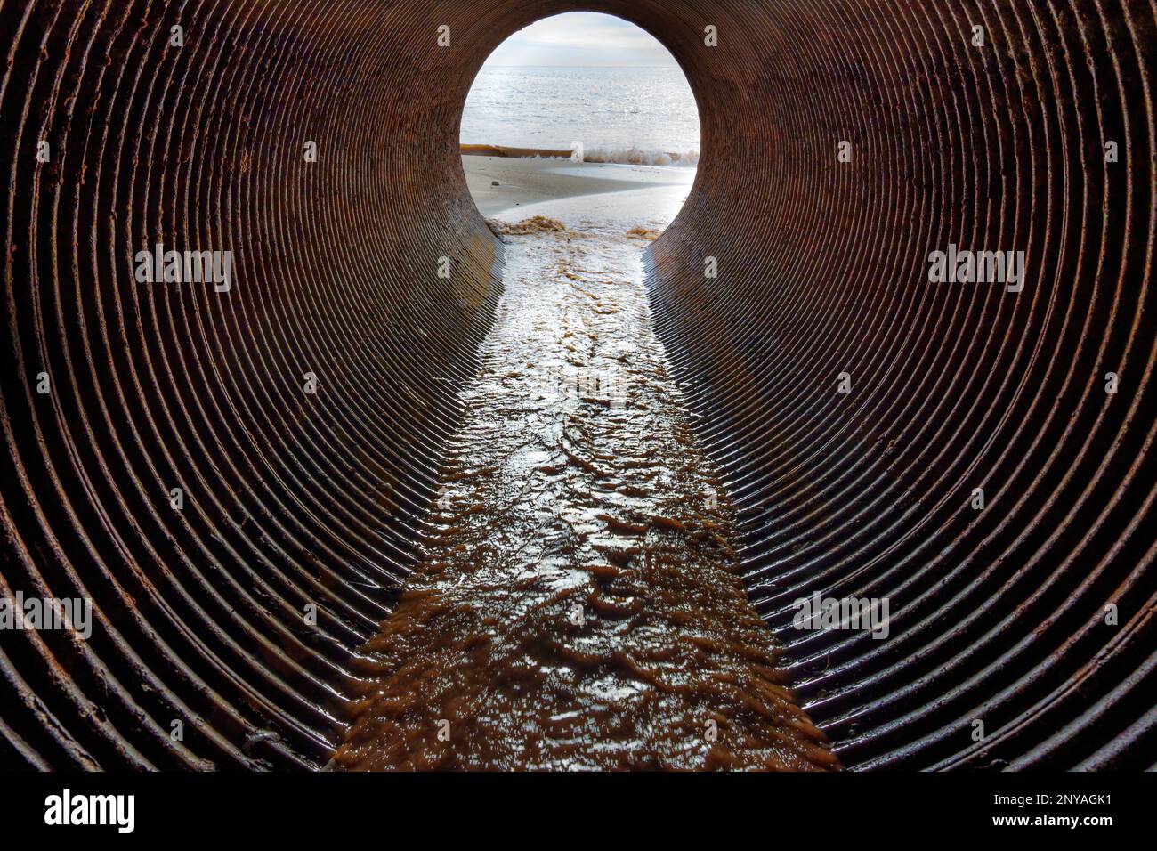 View from inside a large rusty drainage tube leading to the ocean, with ...