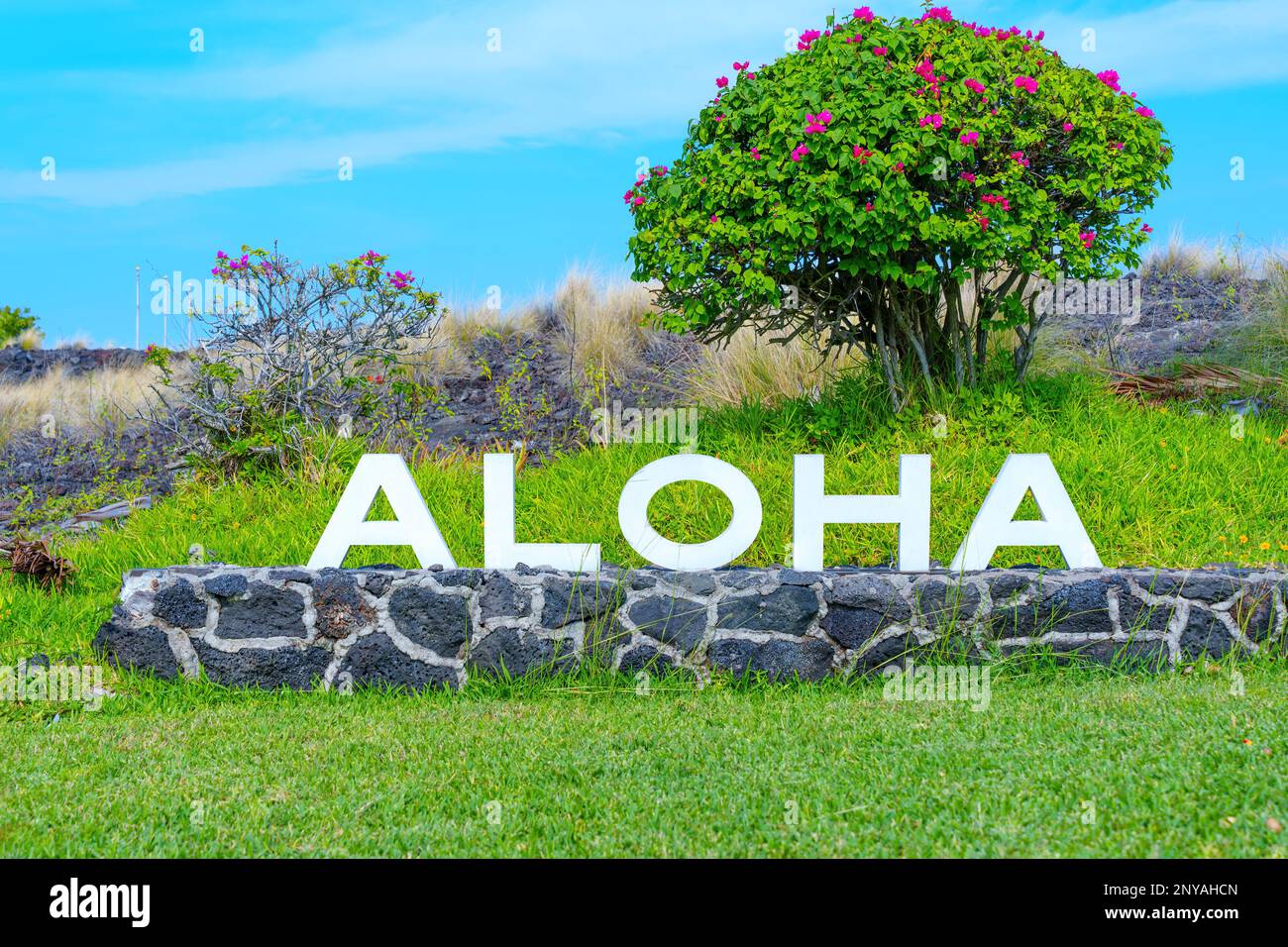 Iconic "Aloha" sign mounted on a stone pedestal set against a backdrop ...