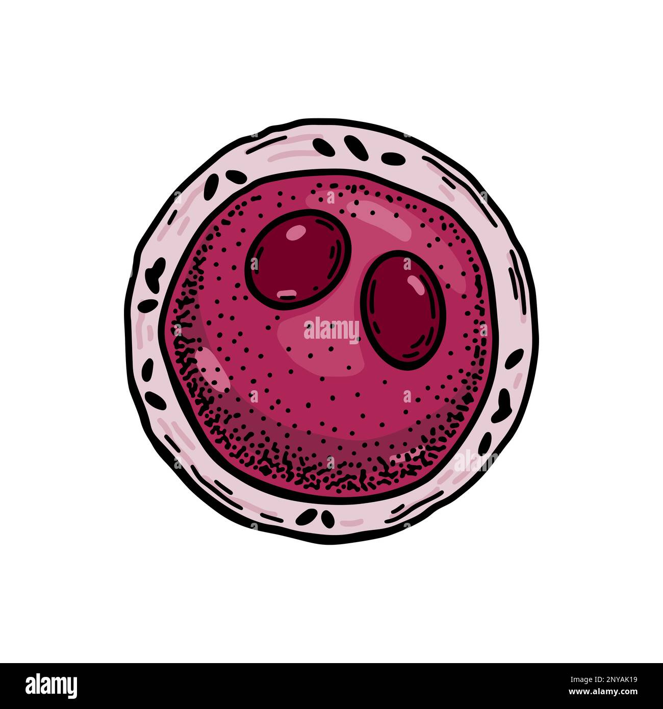 Myeloblast blood cell isolated on white background. Hand drawn ...