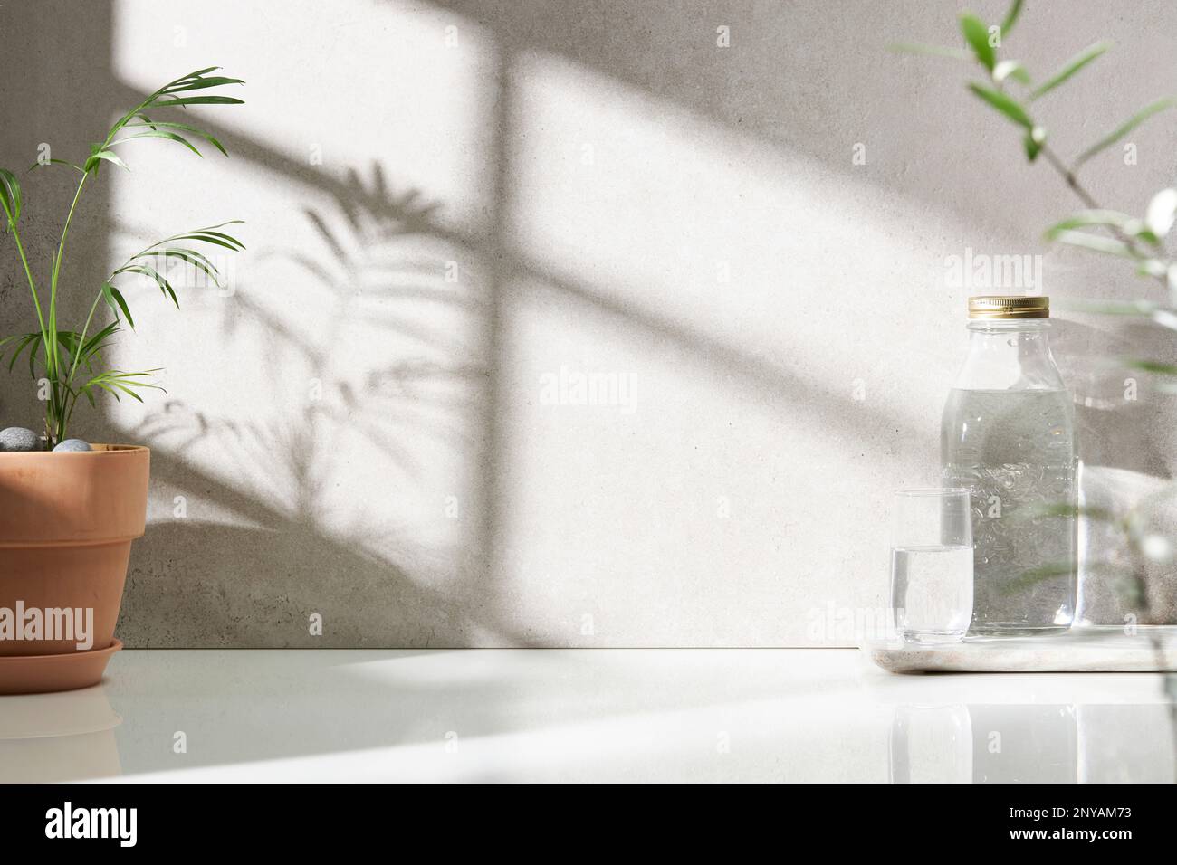 Various objects on a white tile background with warm sunlight shining ...