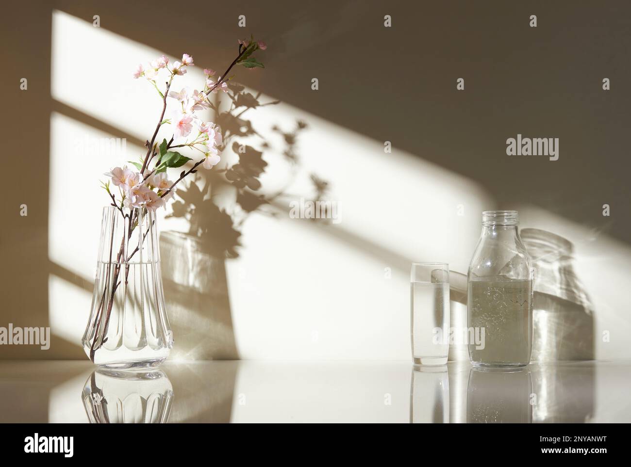 Various objects on a white tile background with warm sunlight shining ...