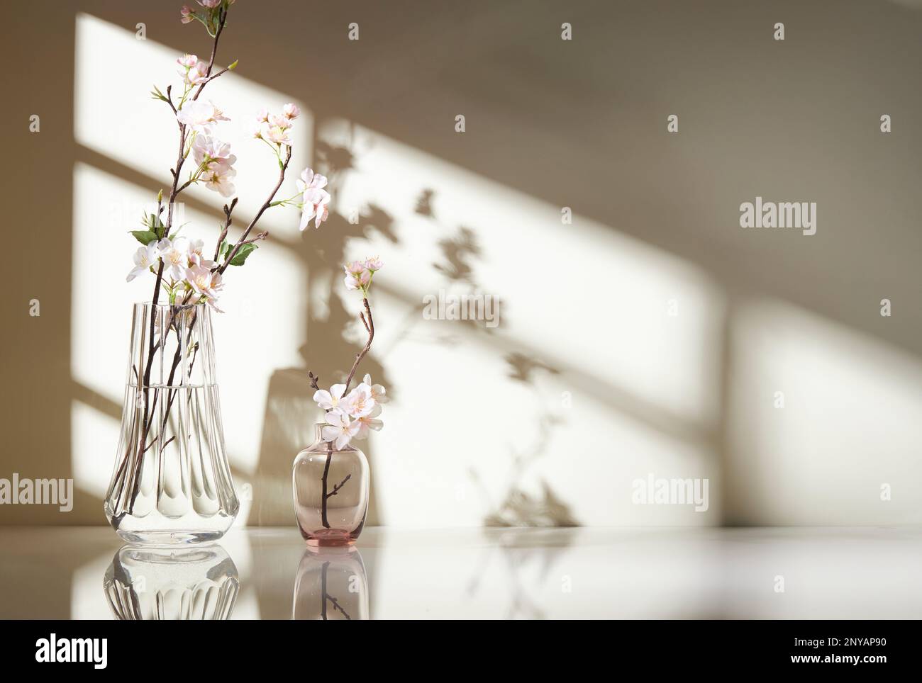 Various objects on a white tile background with warm sunlight shining ...