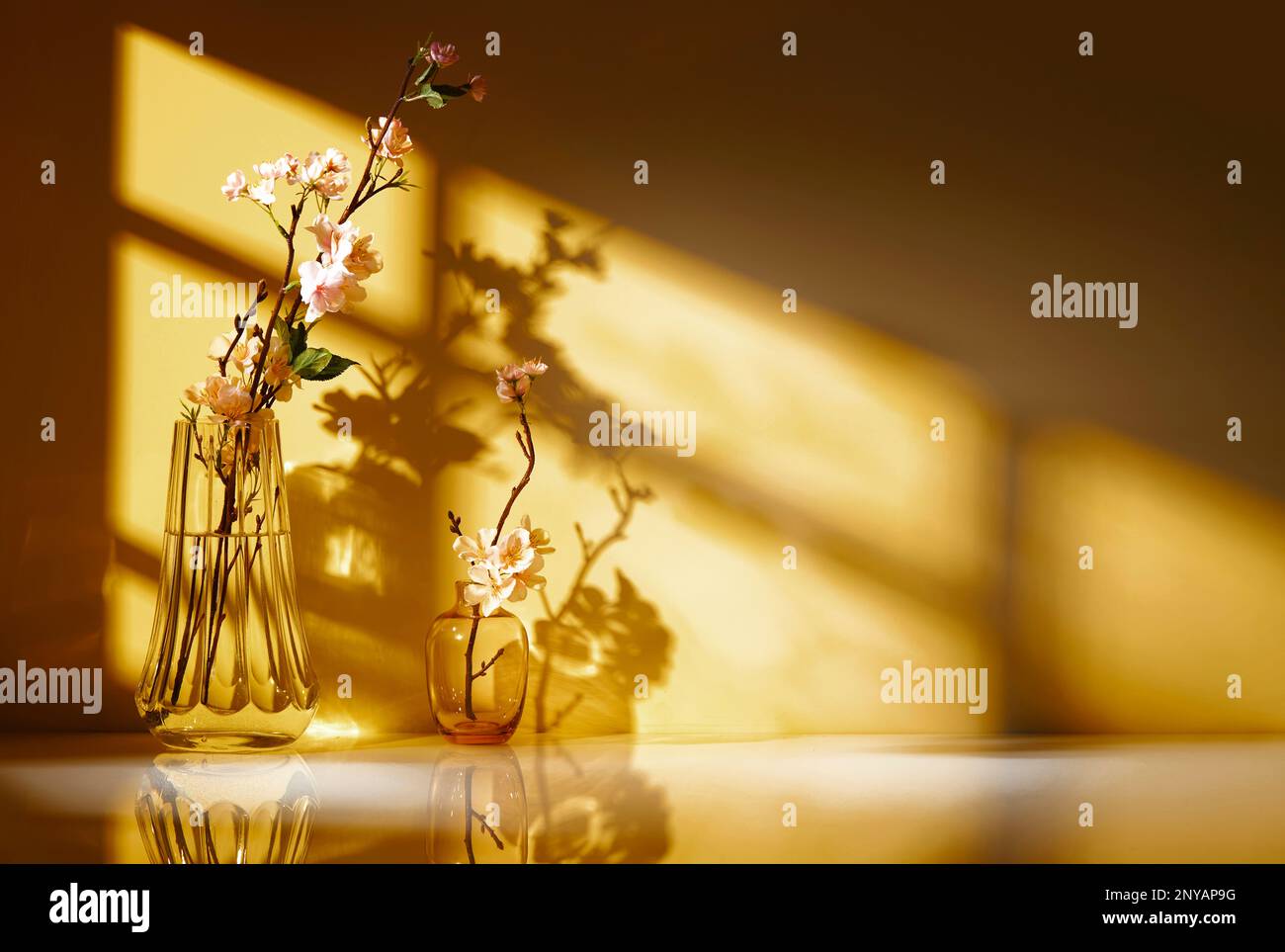 Various objects on a white tile background with warm sunlight shining ...