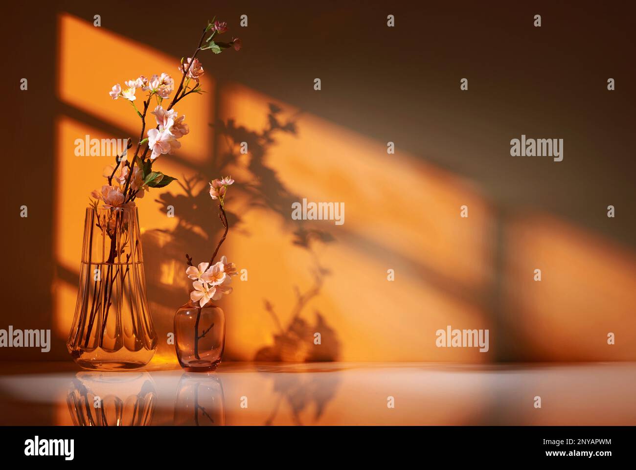 Various objects on a white tile background with warm sunlight shining ...