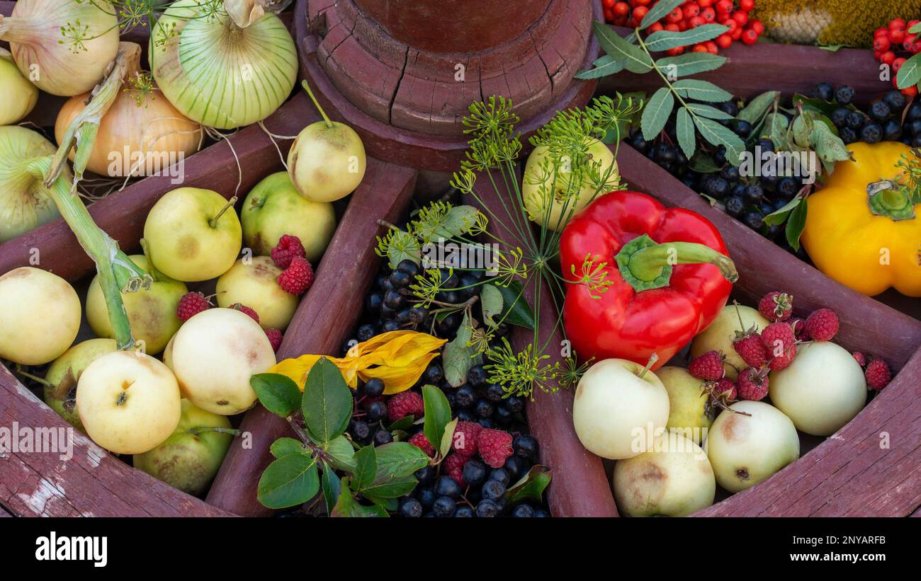 Fruit and vegetable varieties between spokes of an old wooden cartwheel ...